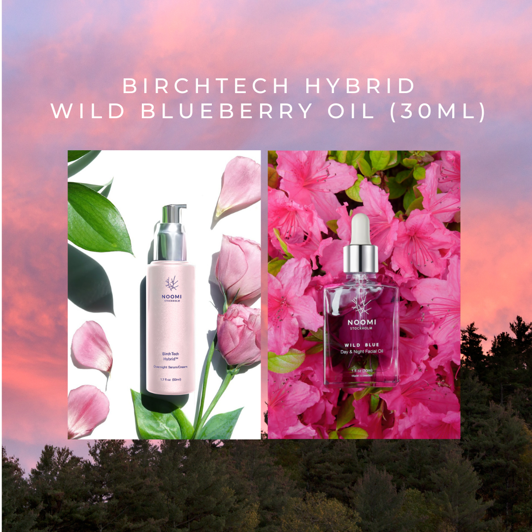 Birchtech Hybrid & Wild Blue Lift & Glow Set – NOOMI Stockholm